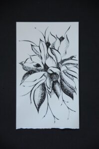 San Antonio Calligraphers' Guild – Passion for the art of beautiful ...